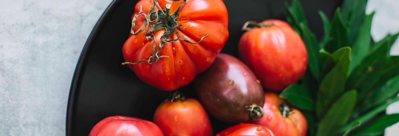 Sydney's latest food craze | ICC Sydney